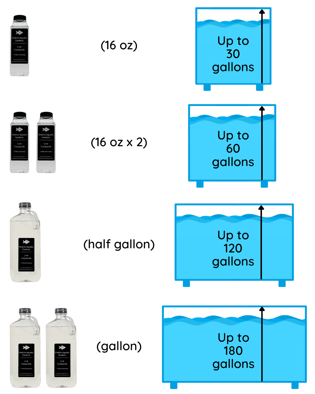 What Size Should I Buy?